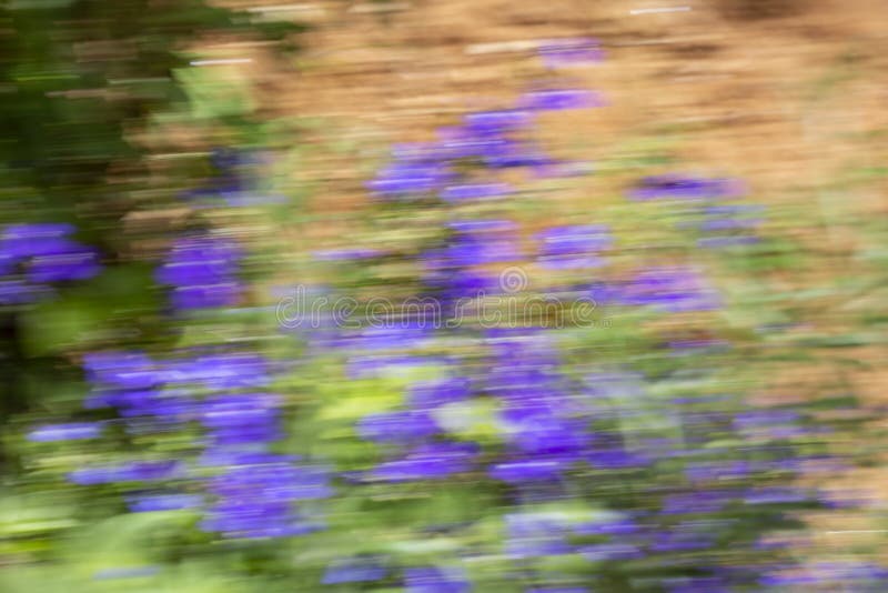 Abstract Motion Blur Effect. Spring Blurred Flowers. Stock Photo ...
