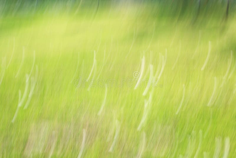 Abstract Motion Blur Effect. Spring Blurred Grass Stock Image - Image ...