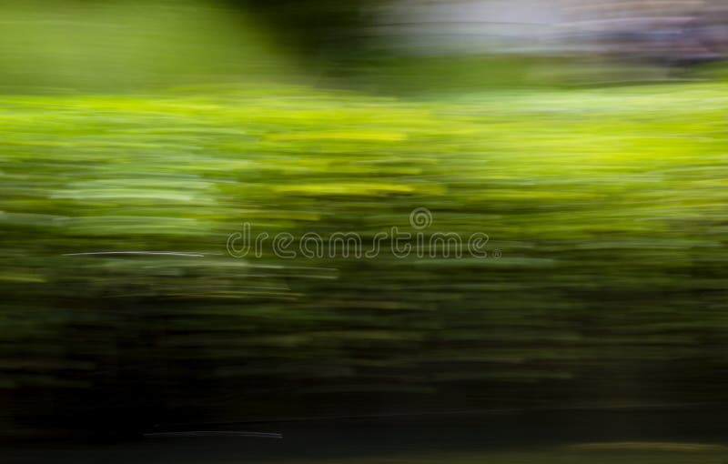 Abstract Motion Blur Effect. Spring Blurred Leaves Stock Photo - Image ...