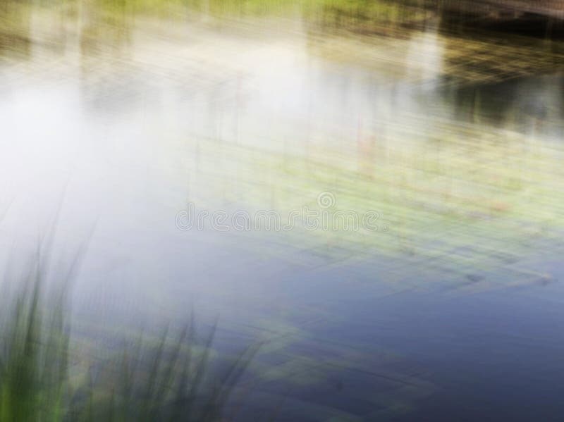 Abstract Motion Blur Effect. Spring Blurred Leaves Stock Photo - Image ...