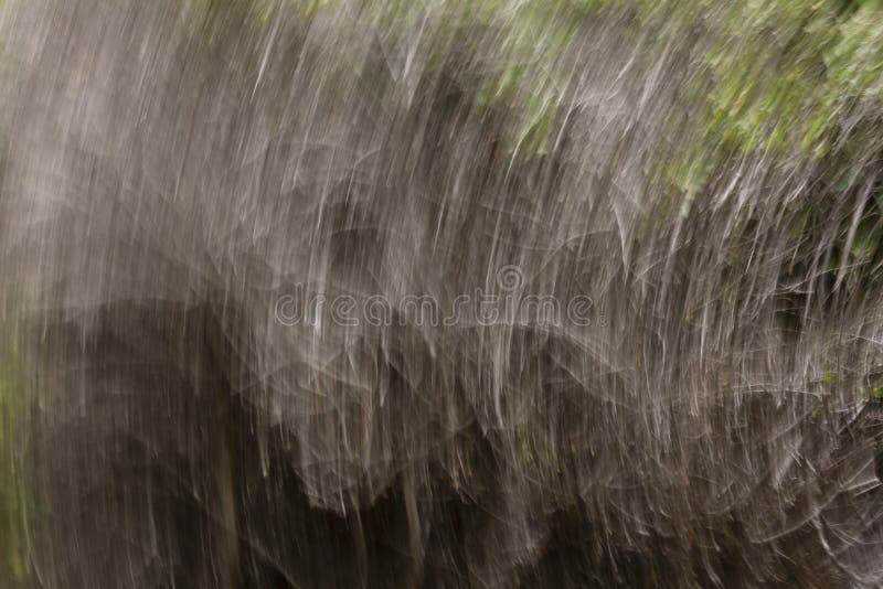 Abstract Motion Blur Effect. Spring Blurred Leaves Stock Photo - Image ...