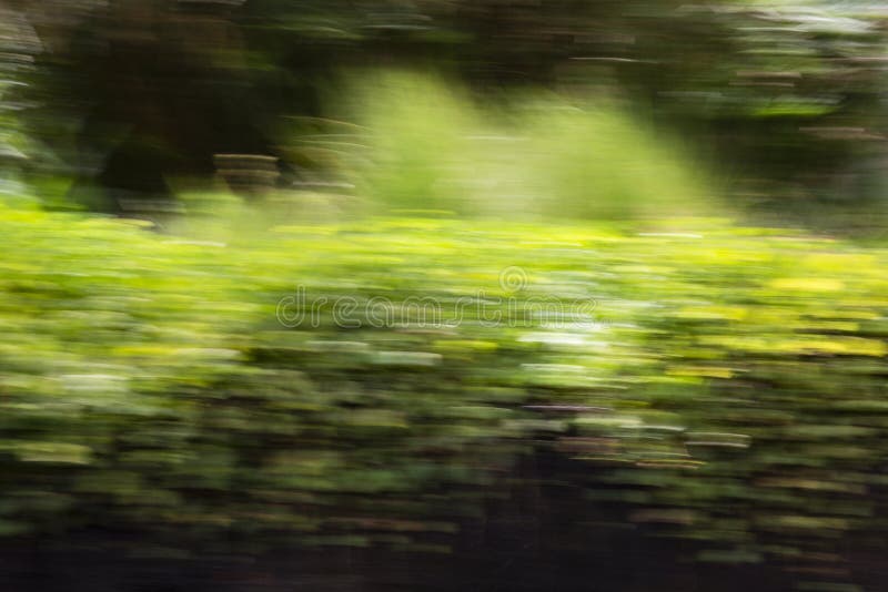 Abstract Motion Blur Effect. Spring Blurred Leaves Stock Image - Image ...