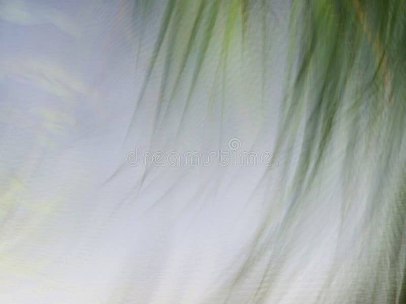 Abstract Motion Blur Effect. Spring Blurred Leaves Stock Image - Image ...