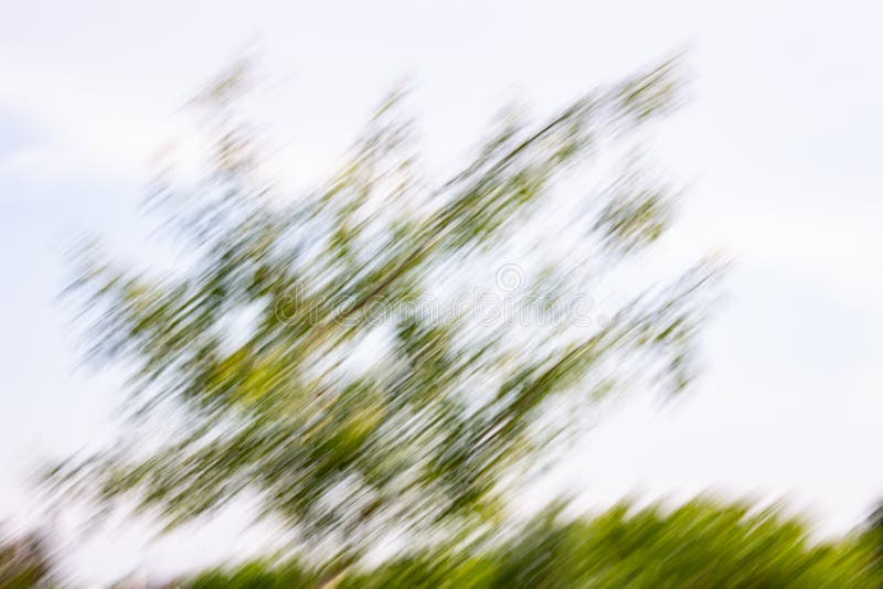 Abstract Motion Blur Effect. Spring Blurred Tree Stock Photo - Image of ...