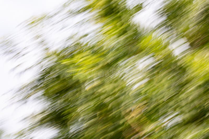 Abstract Motion Blur Effect. Spring Blurred Tree Stock Image - Image of ...