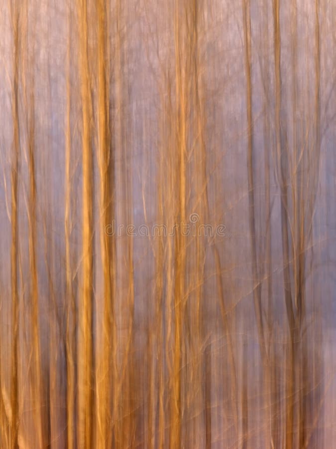 Abstract motion blur stock photo. Image of autumn, woods - 40029792