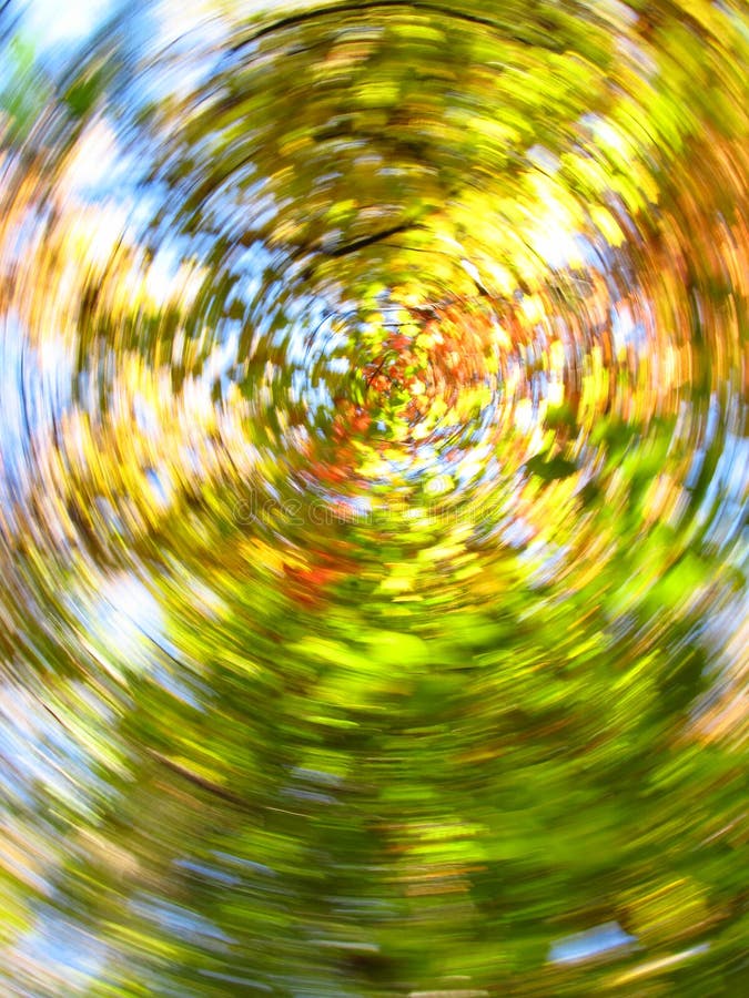 Swirl of Autumn Leaves stock photo. Image of withering - 32345234