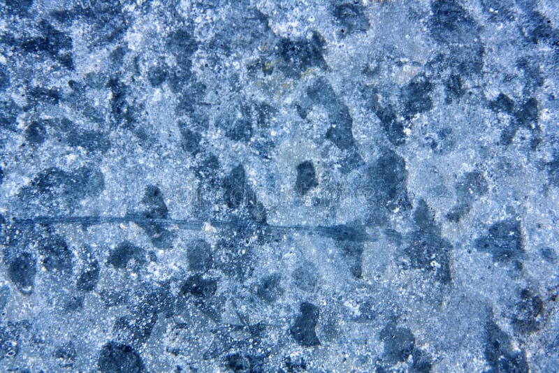Mottled Blue Brick Wall Texture Background of Tree Shadow. Stock Photo ...