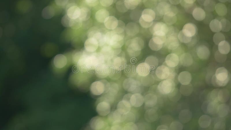 Moving Green Gradient Glossy Hypnotic Curly Waves Abstract Pattern ...