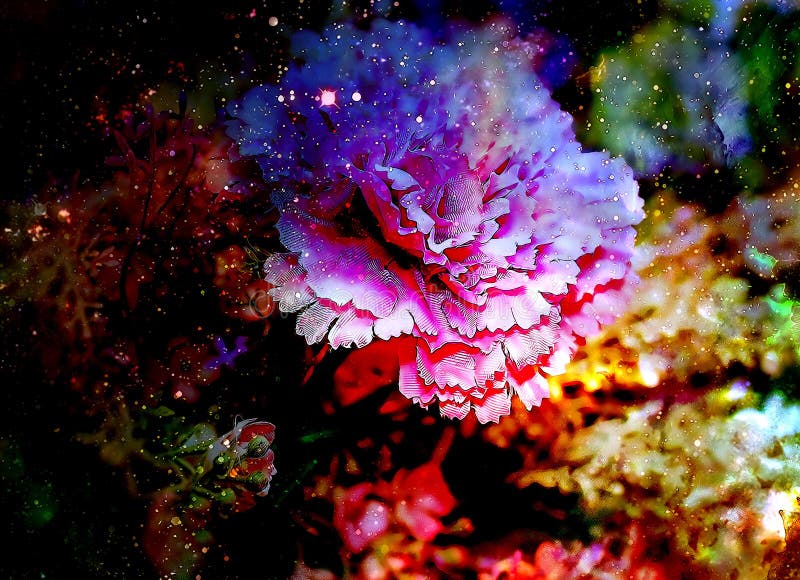 Cosmic Space Flower Color Galaxy Background Computer Collage Stock ...