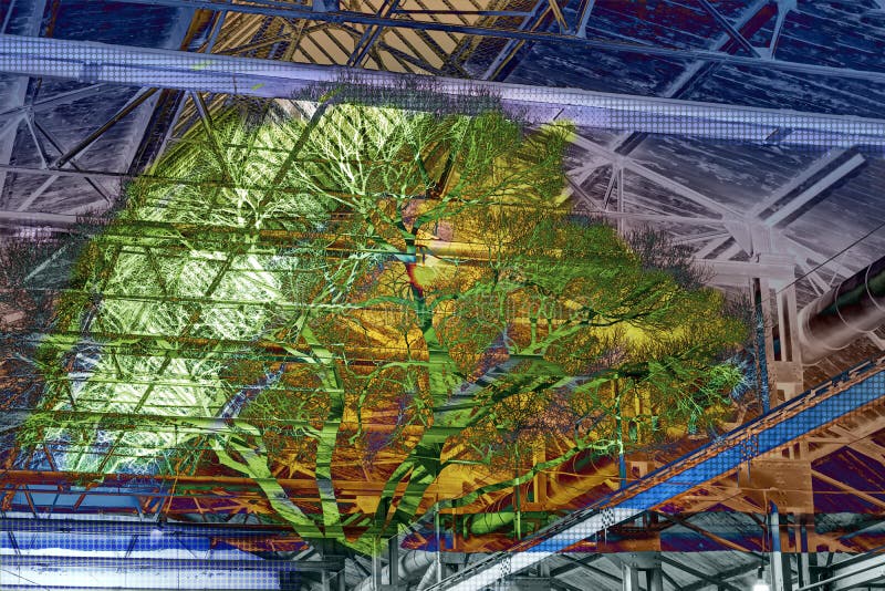 Multiple Exposure Effect on Wooden Texture and Tree Silhouette Stock ...