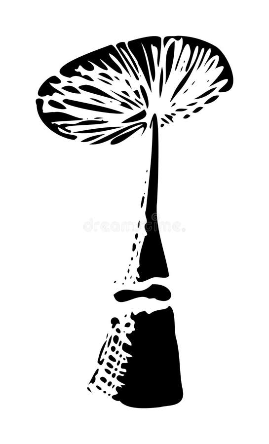 Abstract Mushroom Open Cap Sketch Vector Illustration Stock Vector ...