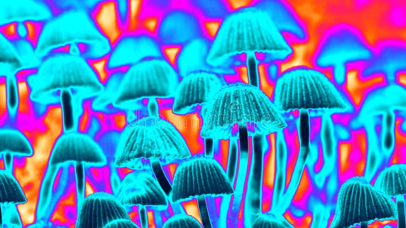 Abstract mushrooms stock image. Image of abstract, background - 173258591