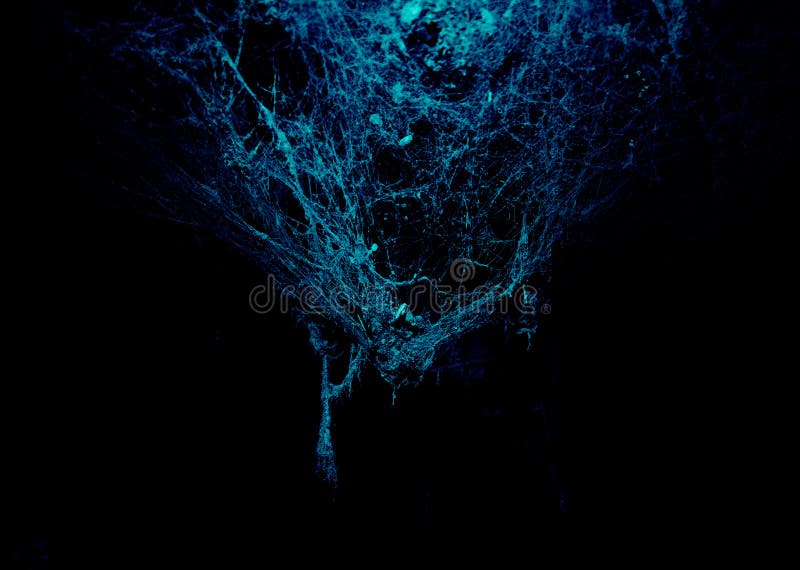 Abstract Spiderweb on Black Background Stock Image - Image of spider ...