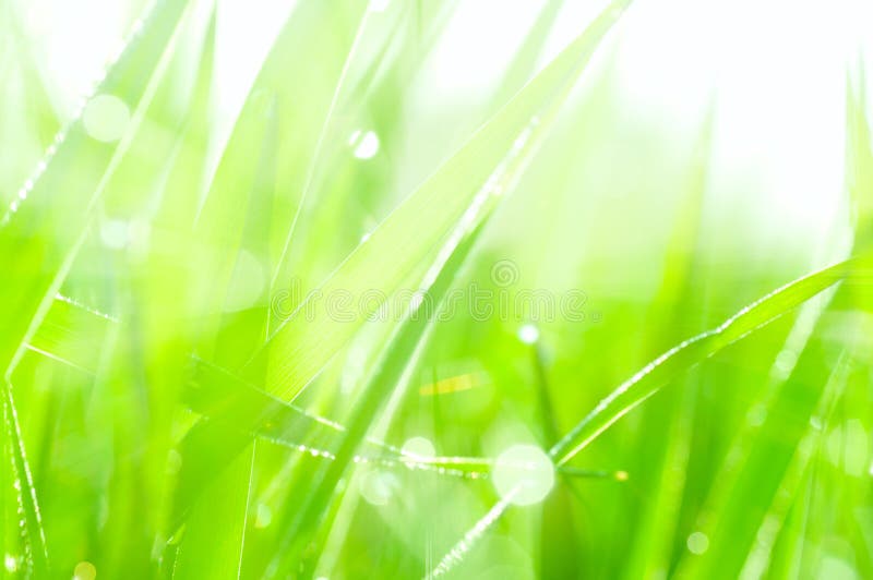 Abstract Natural Backgrounds Stock Image - Image of bright, abstract ...