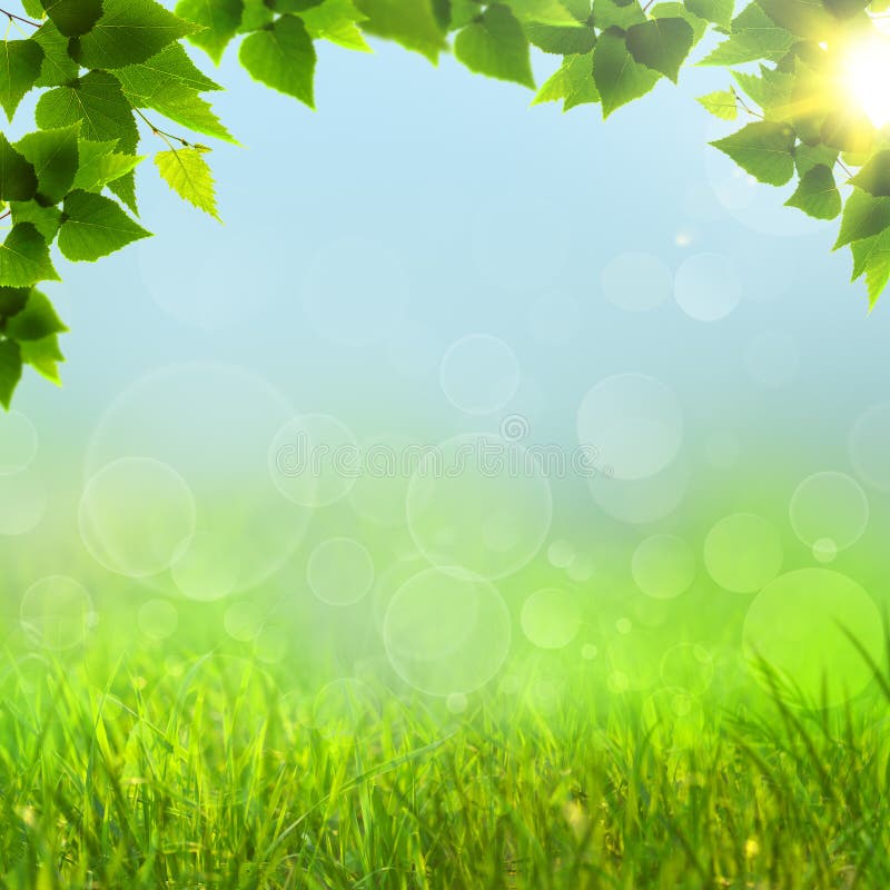 Eco Nature / Green and Blue Abstract Defocused Stock Image - Image of ...