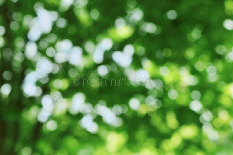 Natural blur background stock image. Image of colored - 44189389