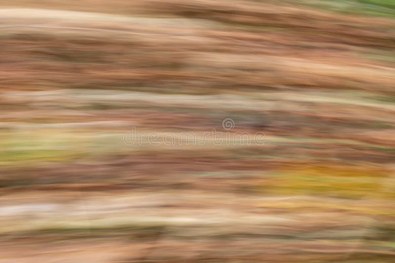 Abstract Natural Brown Background with Motion Blur Stock Photo - Image ...
