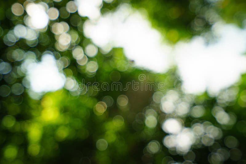 Abstract Natural Color Background. Natural Bokeh Stock Photo - Image of ...