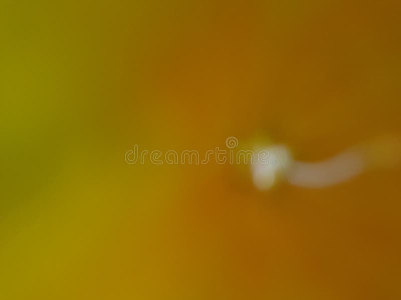 Abstract Natural Color Gradient Blurred Background. Minimal Blurred ...