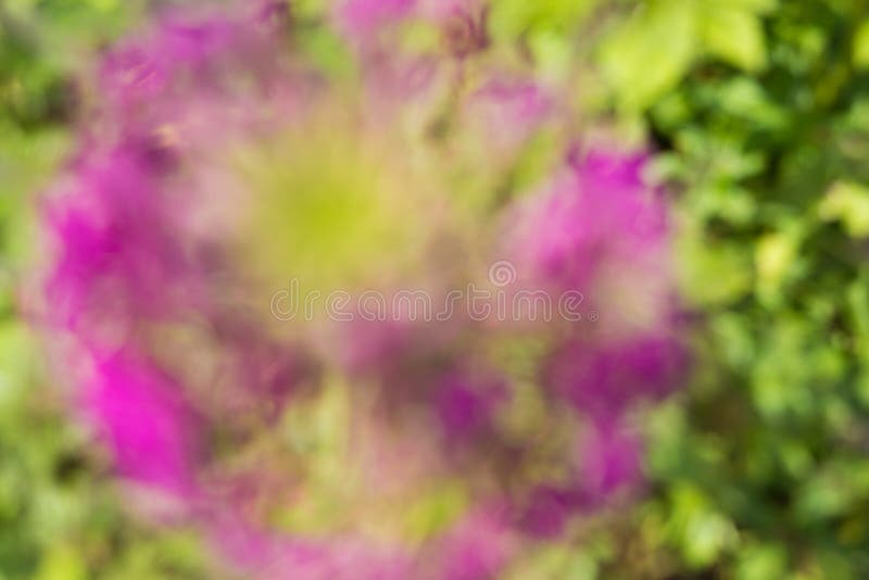 Abstract Natural Colorful Background Stock Photo - Image of blurred ...