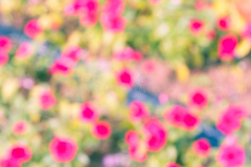 Abstract Natural Colorful Background Stock Image - Image of light ...