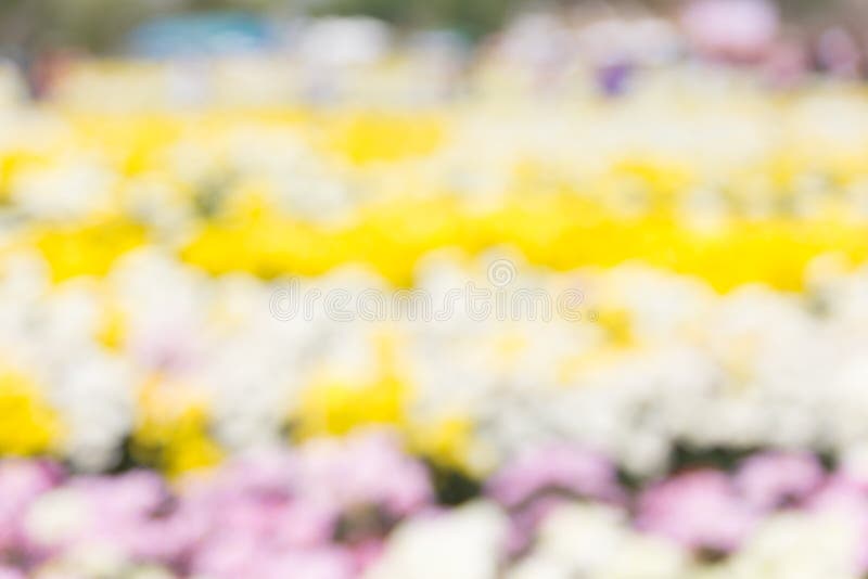 Abstract Natural Colorful Background Stock Illustration - Illustration ...