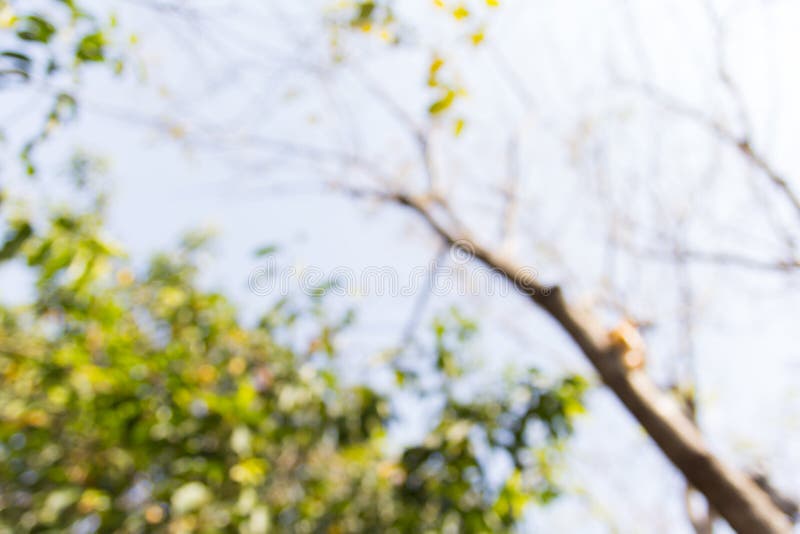 Abstract Natural Colorful Background Stock Photo - Image of nature ...