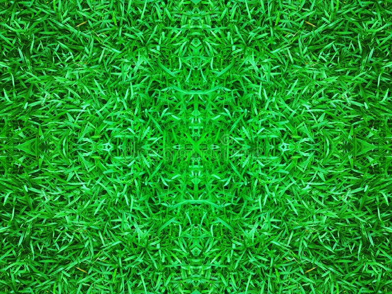 Abstract Green Grass Background Stock Image - Image of texture ...