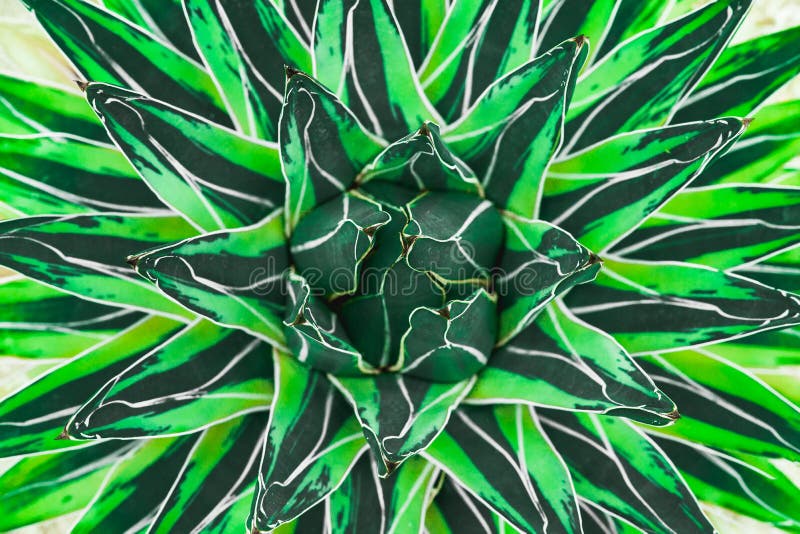 Abstract Natural Pattern Background and Textures, Dark Blue Toned Stock ...