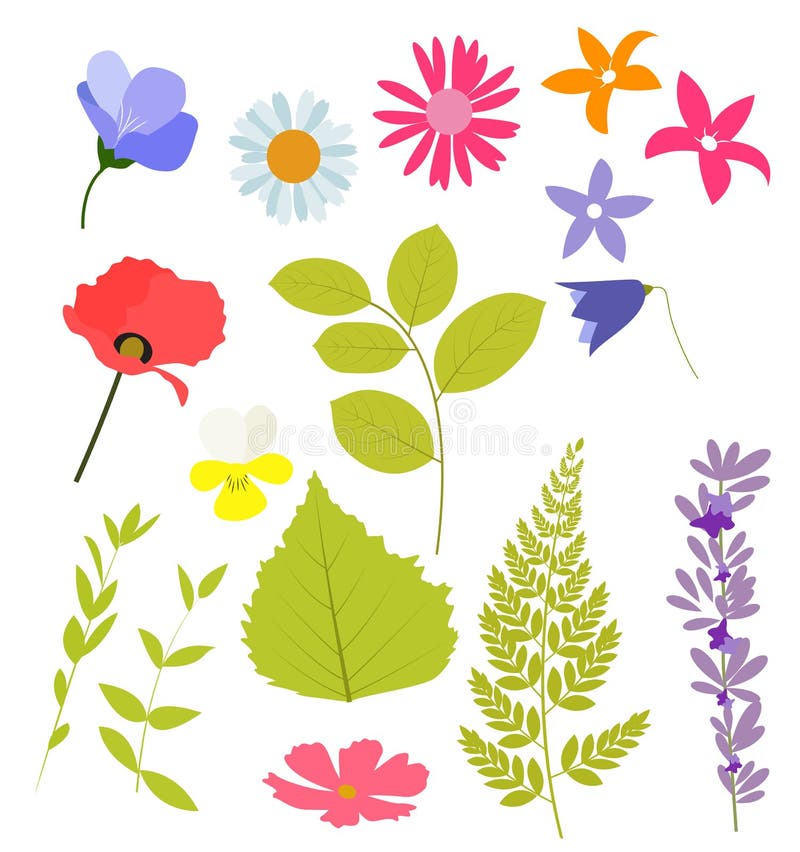 Abstract Natural Spring Elements from Flowers and Leaves. Vector Stock ...