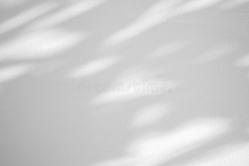Abstract Natural Tree Leaves Shadow on White Wall Background Stock ...