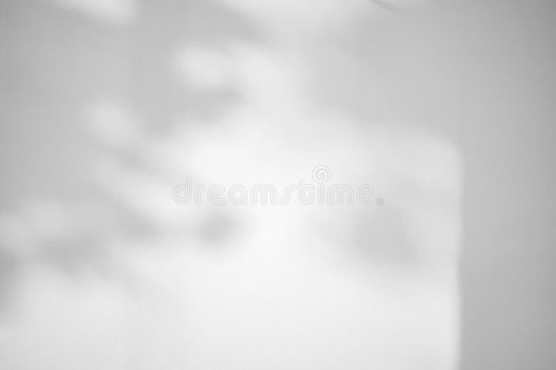 Abstract Natural Tree Leaves Shadow on White Wall Background Stock ...