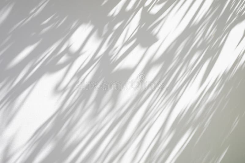Natural Tree Leaves Shadow on White Wall Background Stock Image - Image ...