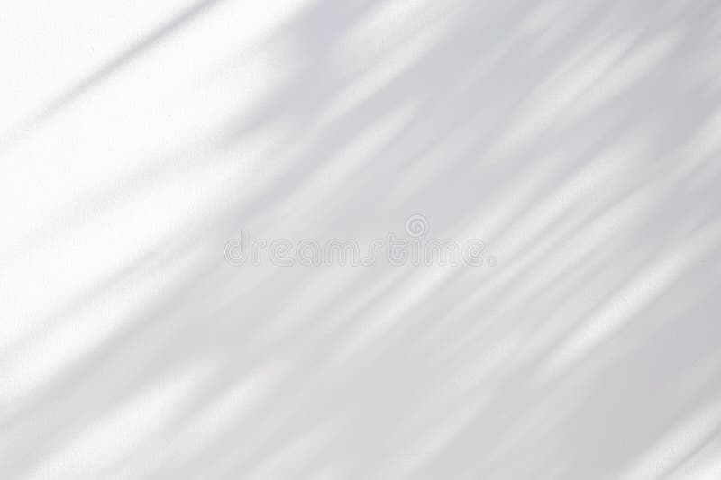 Abstract Tree Leaves Shadow on White Wall Background Stock Image ...