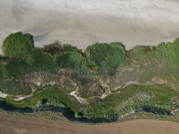 Abstract nature from above stock photo. Image of abstract - 192377100