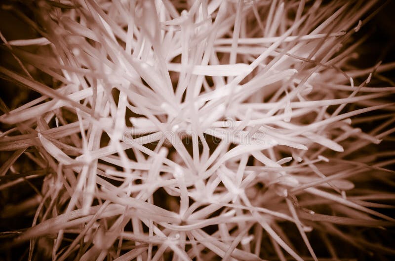 Abstract Spiky Geometric Design Stock Photo - Image of artistic, blue ...