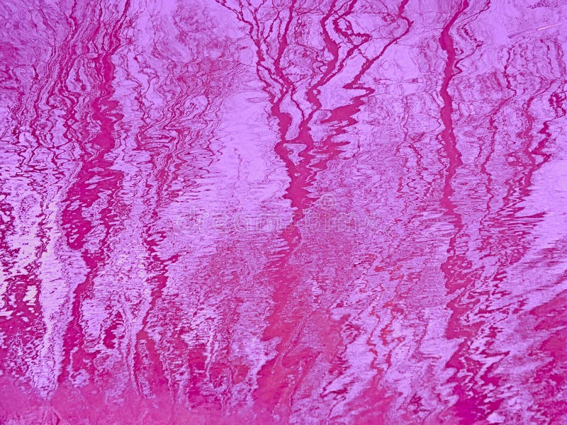 Pink Rippling Water Surface with Reflections of Bare Trees and Sky ...