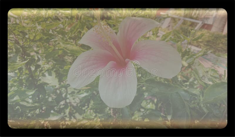 Nature Dull Background Template for Website, Abstract Info Graphics ...