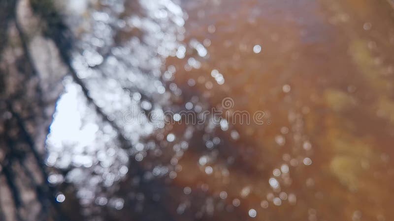 Abstract Nature Patterns Sunlit Water Reflections and Tree Silhouettes ...