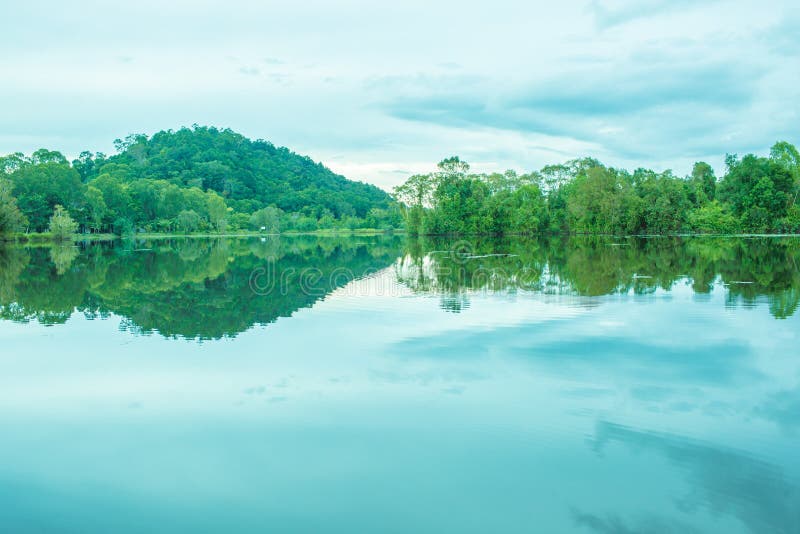 Abstract Nature, Reflection of Trees in Lake Stock Photo - Image of ...