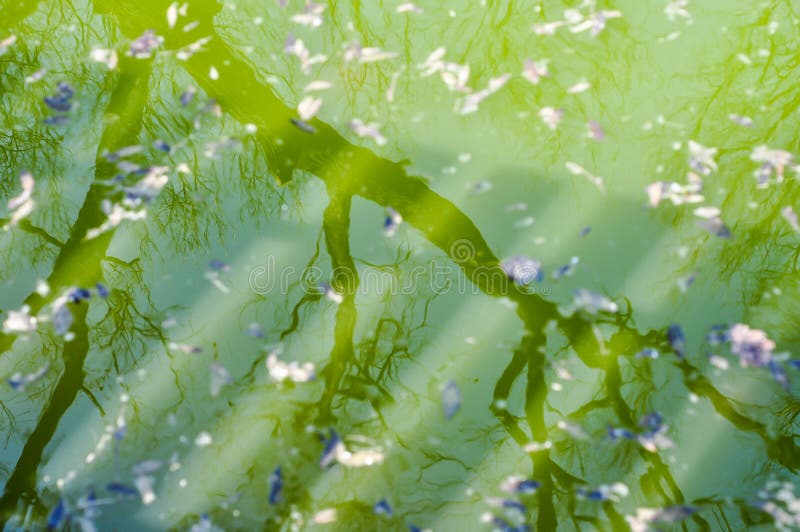 Abstract nature textures stock image. Image of liquid - 228546639