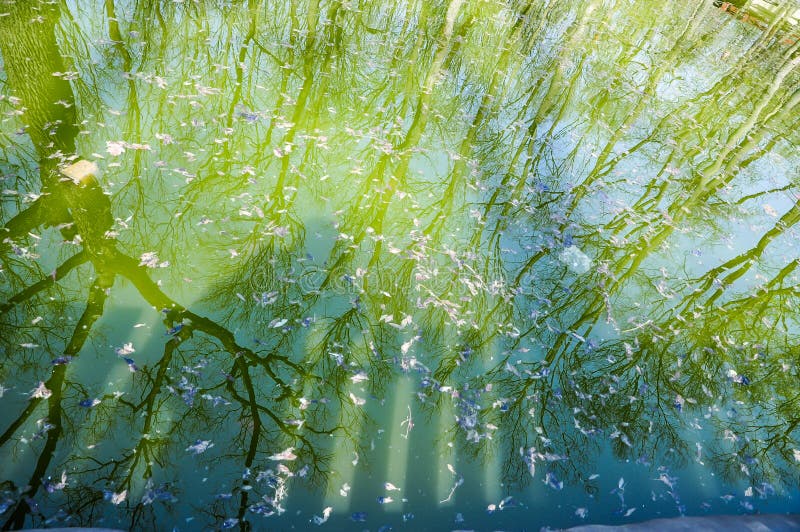 Abstract nature textures stock photo. Image of motion - 228546702