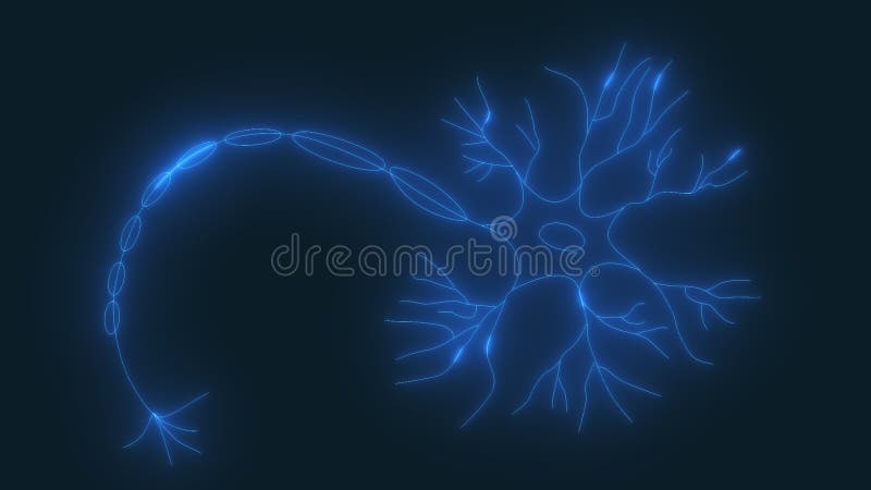 An Abstract Neon Nerve Cell with Axon Branches, Nucleus, and Dendrites ...