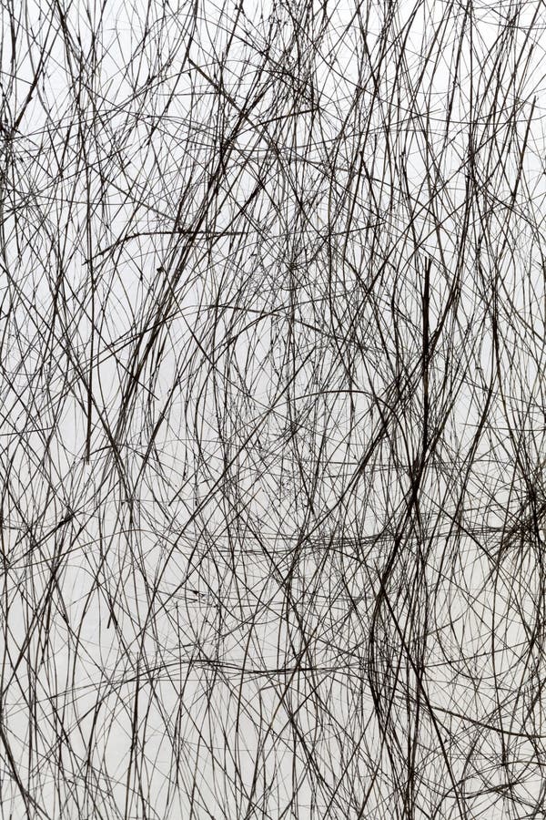 Abstract net texture stock photo. Image of string, wallpaper - 67345402