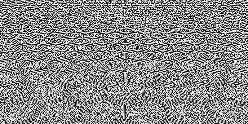 Abstract Noise Lines on White Background. Chaotic Lines Texture Stock ...