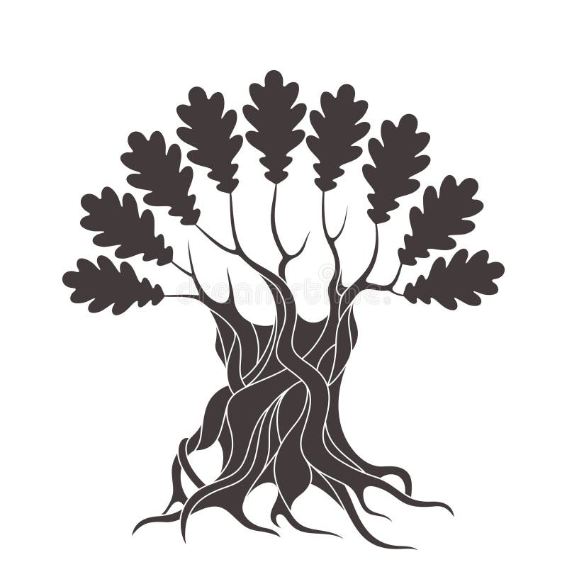 Abstract Oak Tree stock vector. Illustration of element - 77797321
