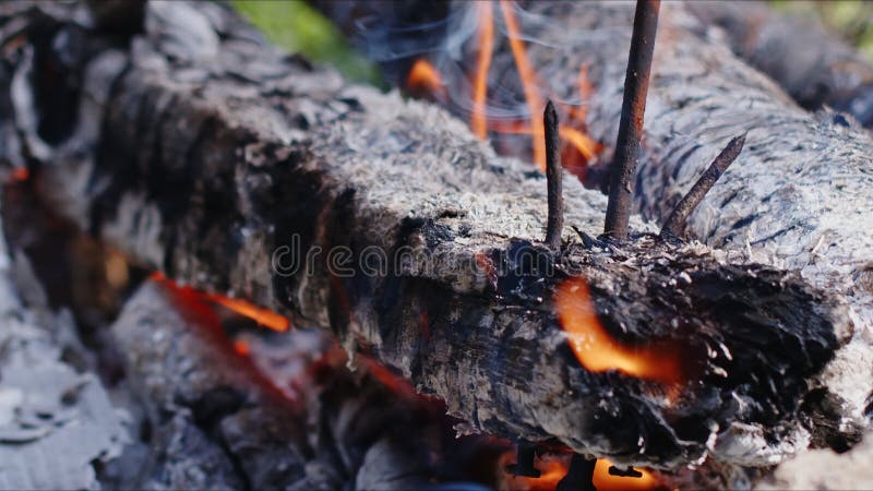 Abstract Oak Wood Bonfire in Flames Smoke and Ashes Stock Video - Video ... Abstract Oak Wood Bonfire in Flames Smoke and Ashes Stock Video - Video ...