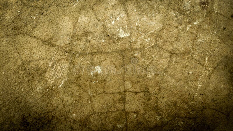 Abstract Old Concrete Wallpaper Cracked Paper Ancient Ruins Surface ...