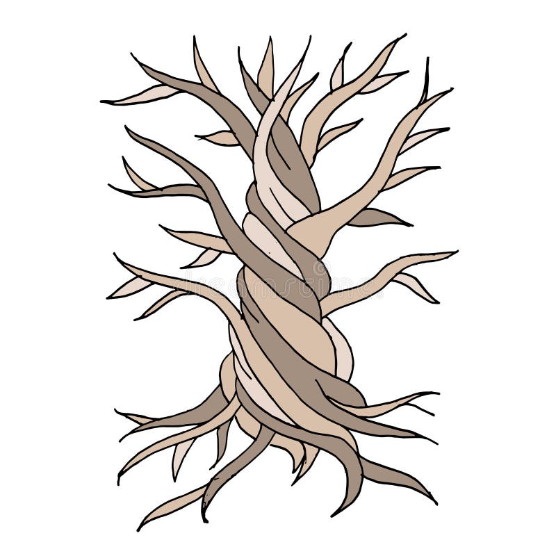 Abstract Old Tree with Roots, Zen Doodle Stock Vector - Illustration of ...